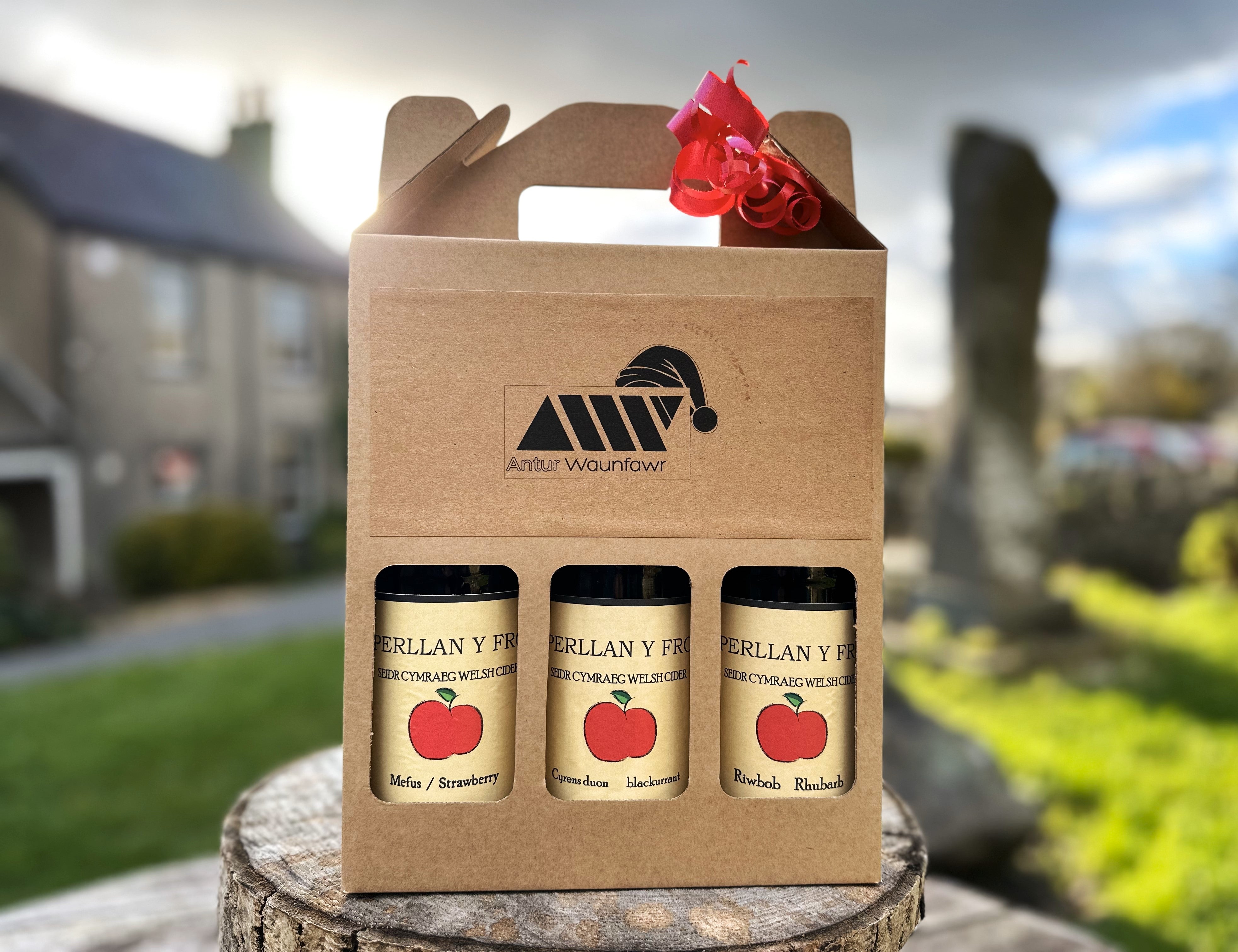 Nadolig 2023 – Siop Antur Waunfawr